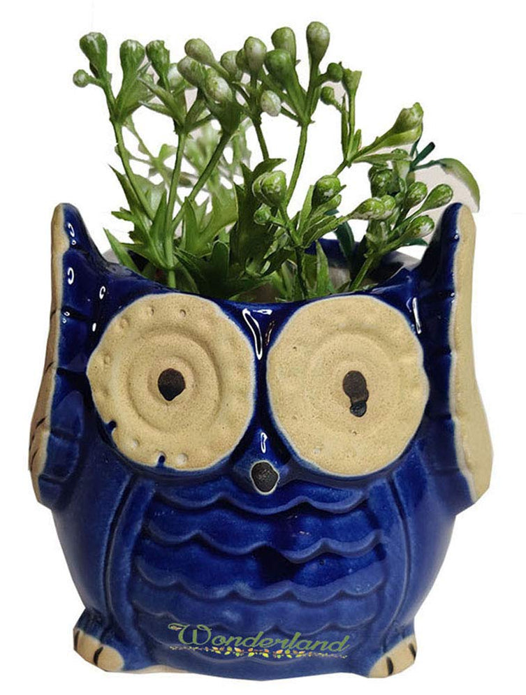 Ceramic Pots | Ceramic Planter Pots | Ceramic Pots Plants ...