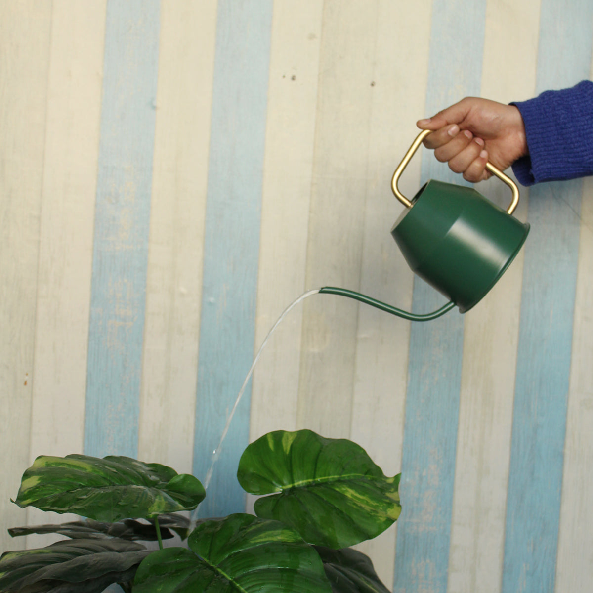 Buy Green Metal Watercan for home use online — Wonderland Garden Arts ...